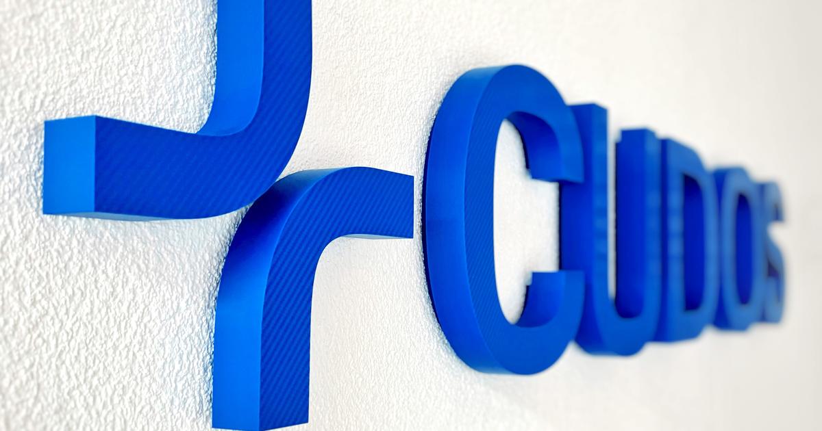 Software Engineering trifft auf 3D Kunst | Cudos