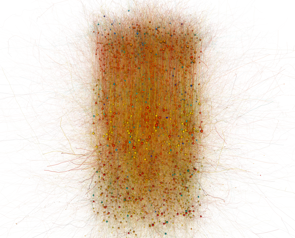 Mouse Somatosensory Cortex